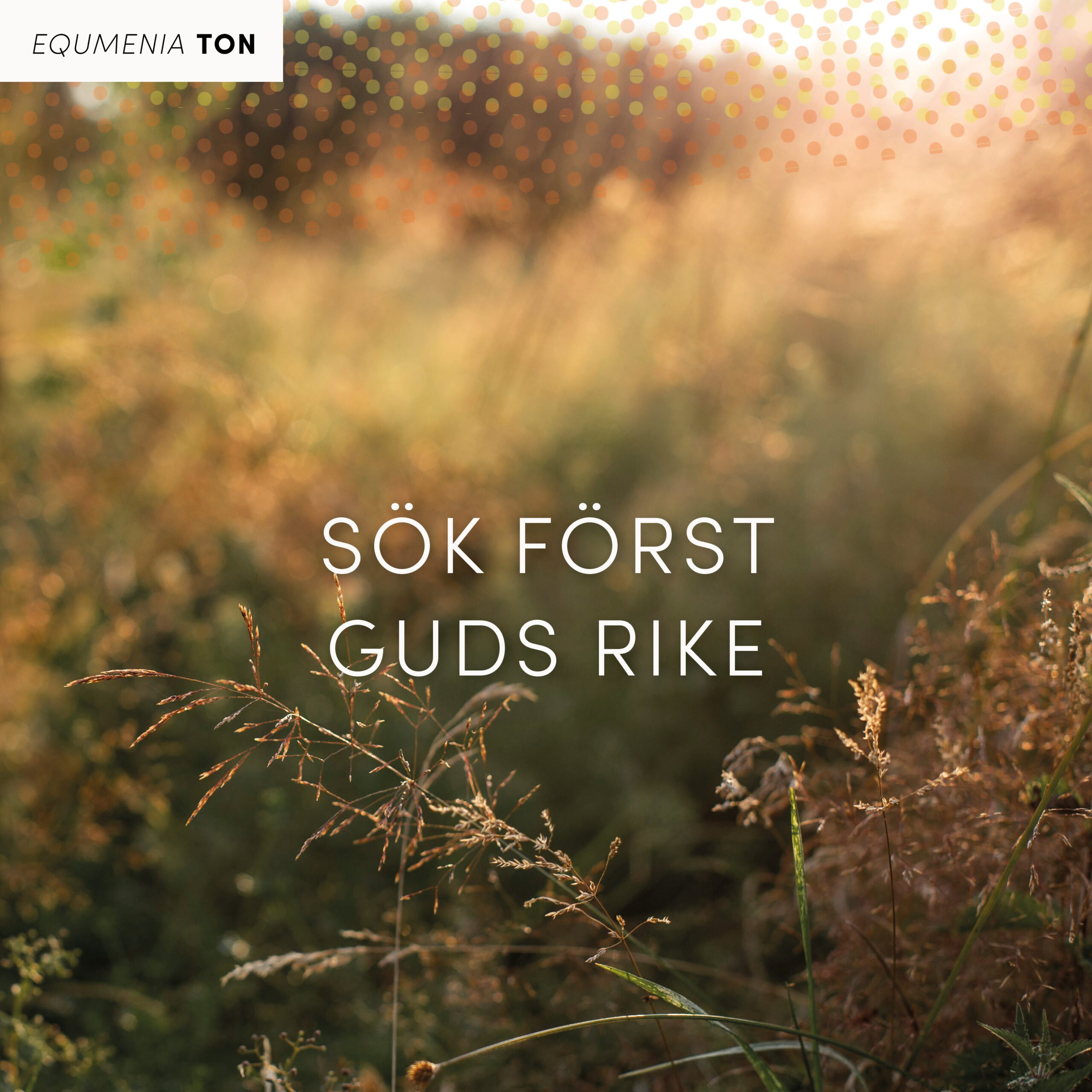 "Sök först Guds rike" – kanske Equmenia Tons mest catchy låt hittills ...